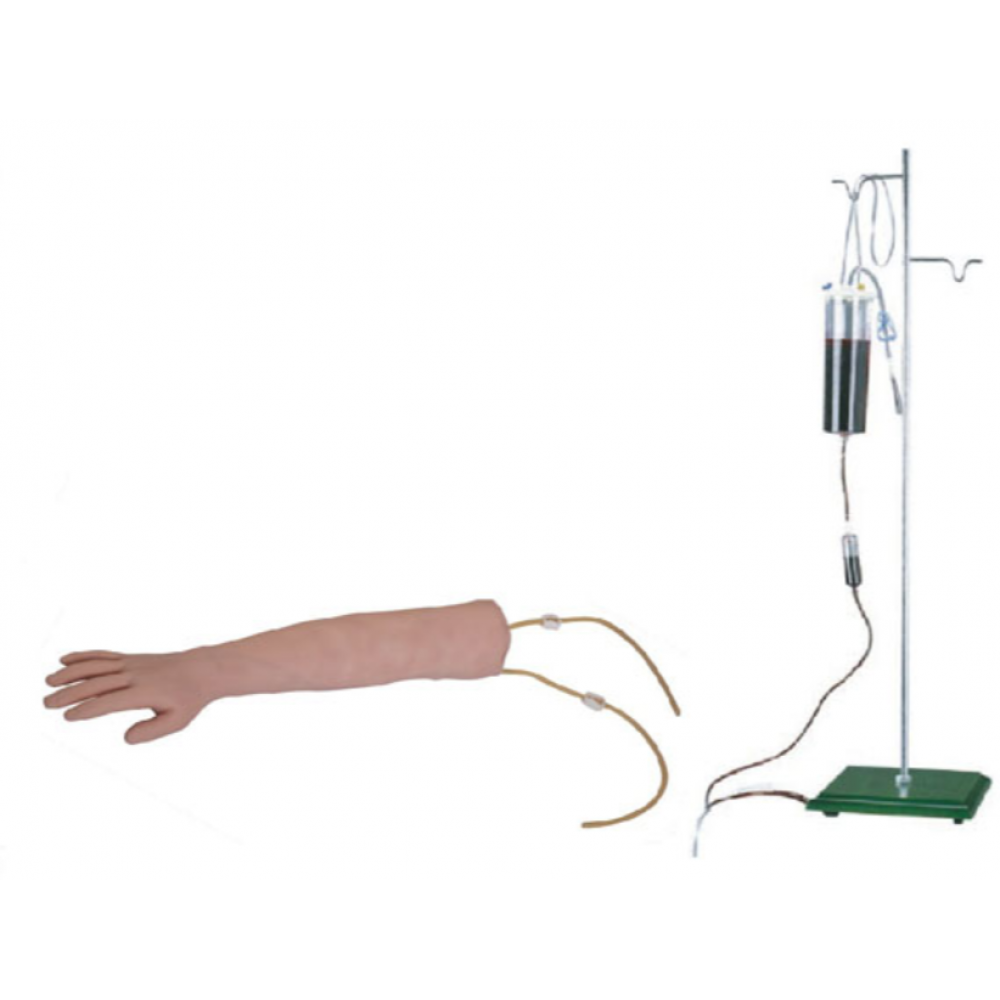 Multi-Functional IV Phlebotomy Arm Training Model - Fu Kang Online Store
