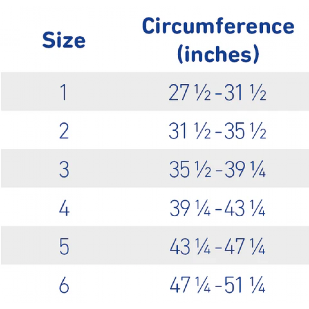 Bauerfeind LordoLoc Back & Spine Support - Medical Grade Orthosis - Fu ...