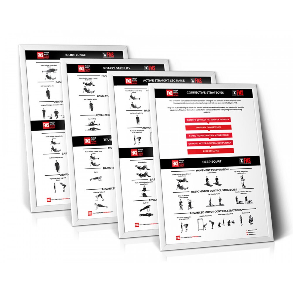 FMS Poster Set - Fu Kang Online Store