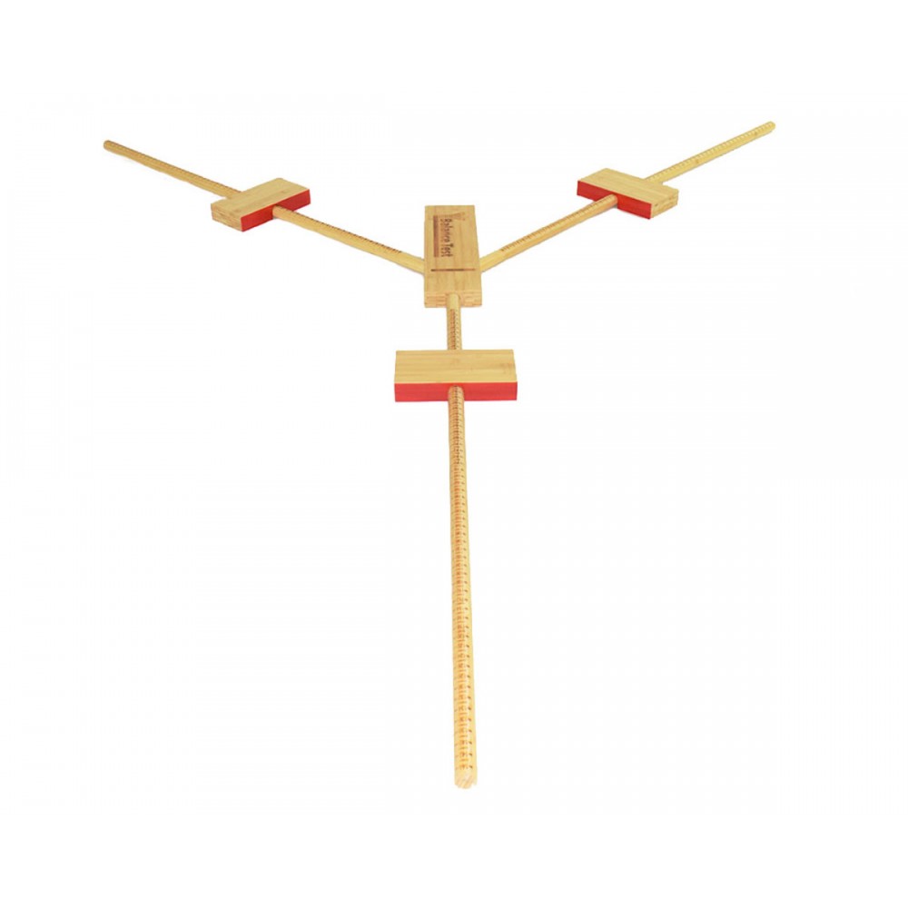 FMS Professional Y-Balance Test Kit - Fu Kang Online Store