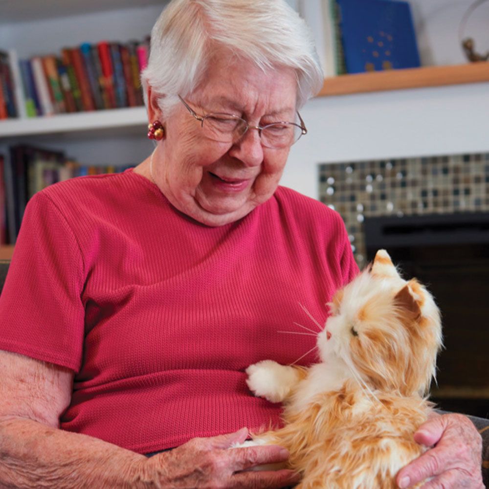 Companion Pet Cat For Elderly - Dementia Care - Pet Therapy - Fu Kang ...