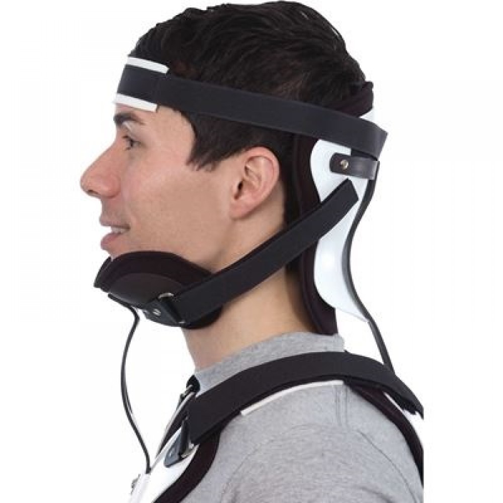 Lerman Minerva - Fu Kang Online Store